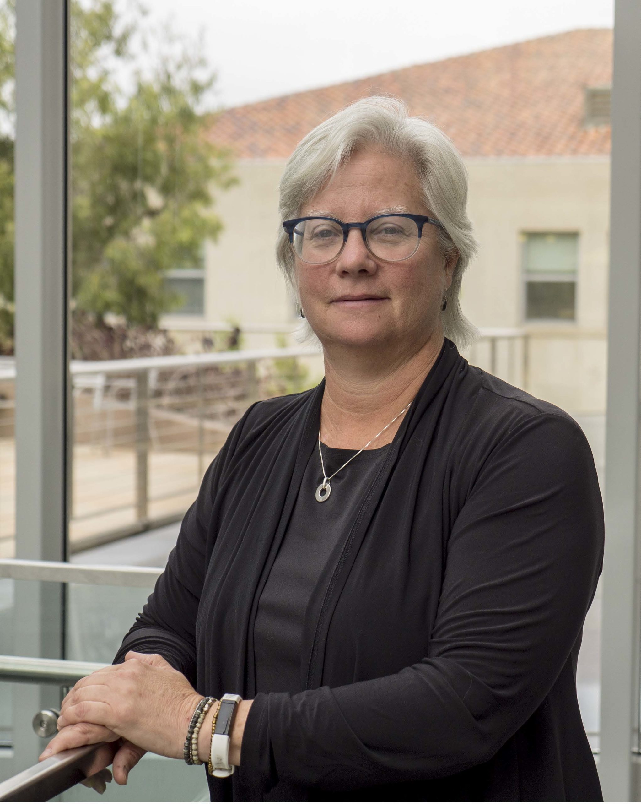 Sue Schechter - Institute For Well-Being In Law